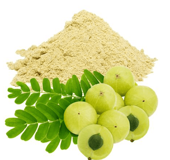 The Top Reasons Why Organic Amla is a Must-Have in Your Daily Routine ...